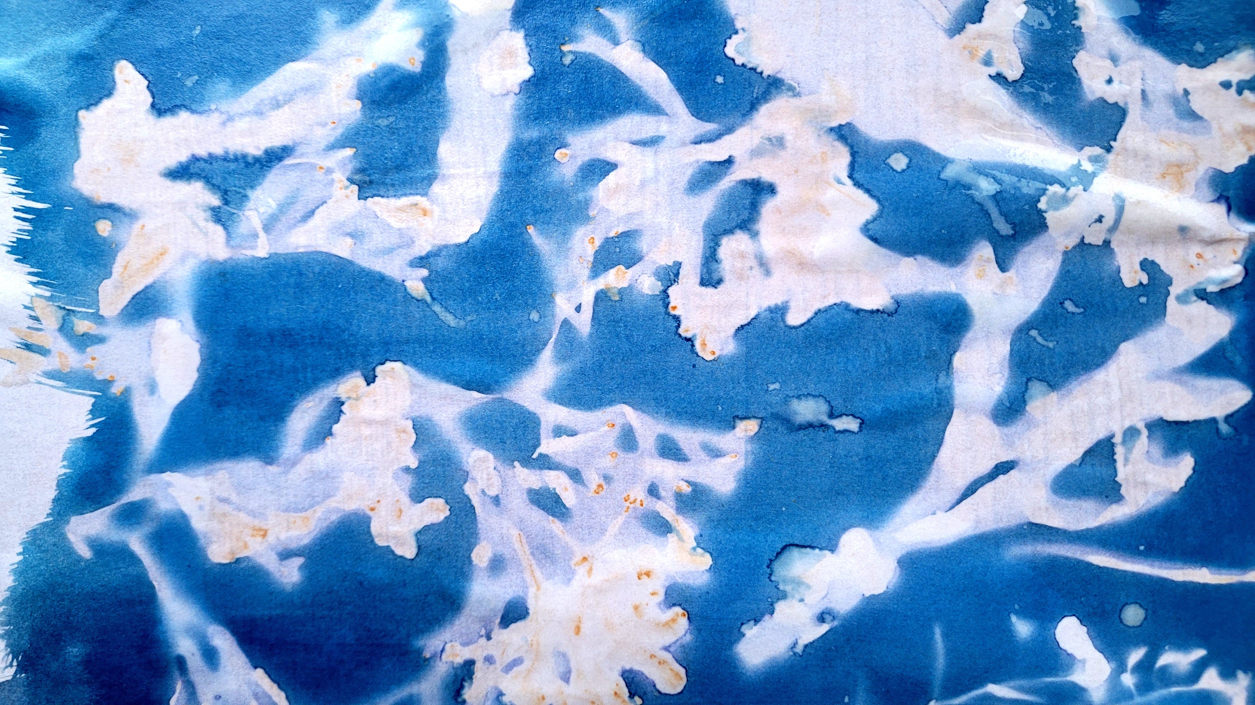 Seaweed in art: from dyes, to cyanotype, to poetry – Halen Môn